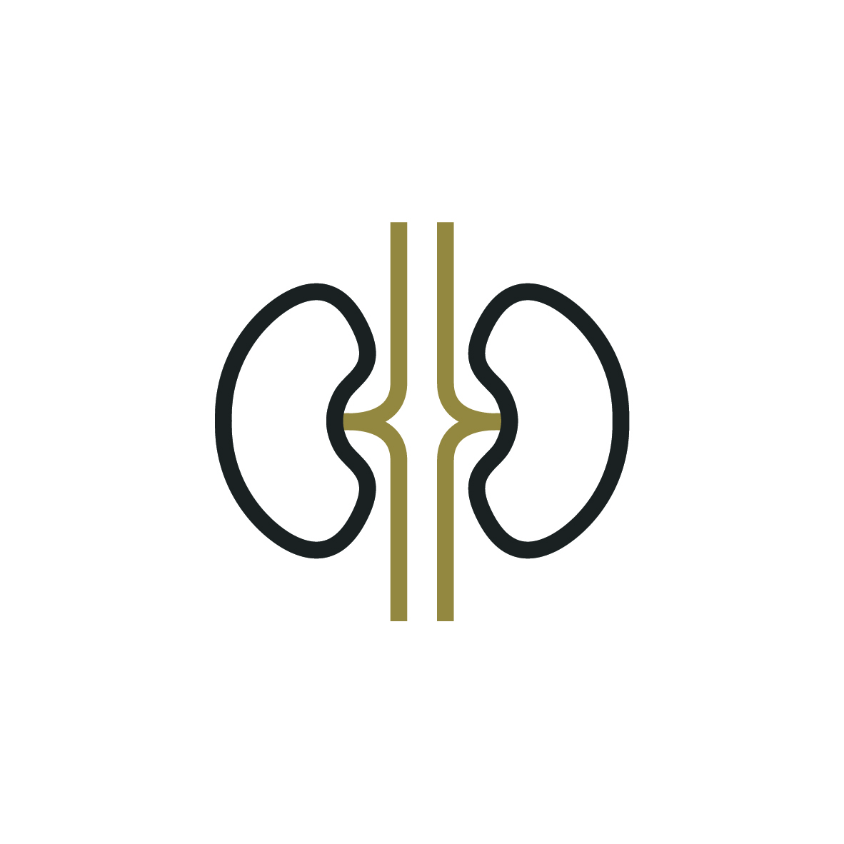 Obličky, močový systém